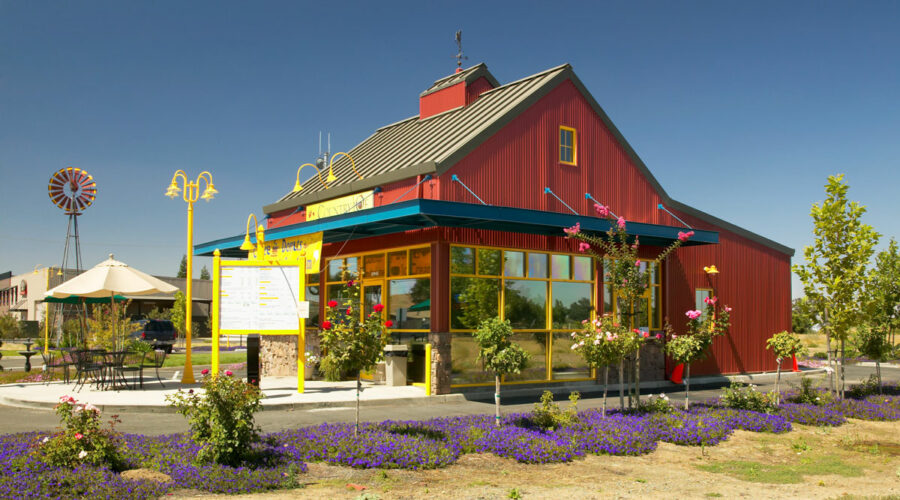 Country Joe Coffee House – LDA Partners